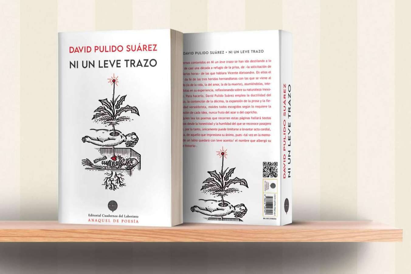 ‘Ni un leve trazo’, el nuevo libro de poemas de David Pulido recibe una ...