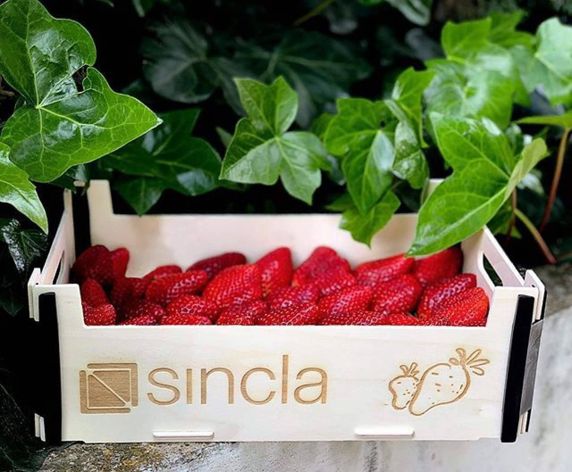 Cajas de madera para fruta y verdura de Sincla; una combinación de ...