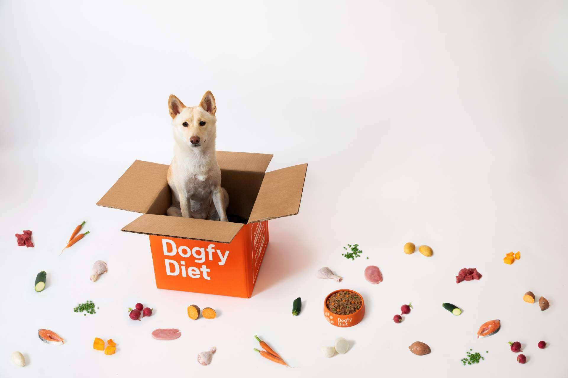 Dogfy Diet innova con una alimentación basada en ingredientes 100% ...