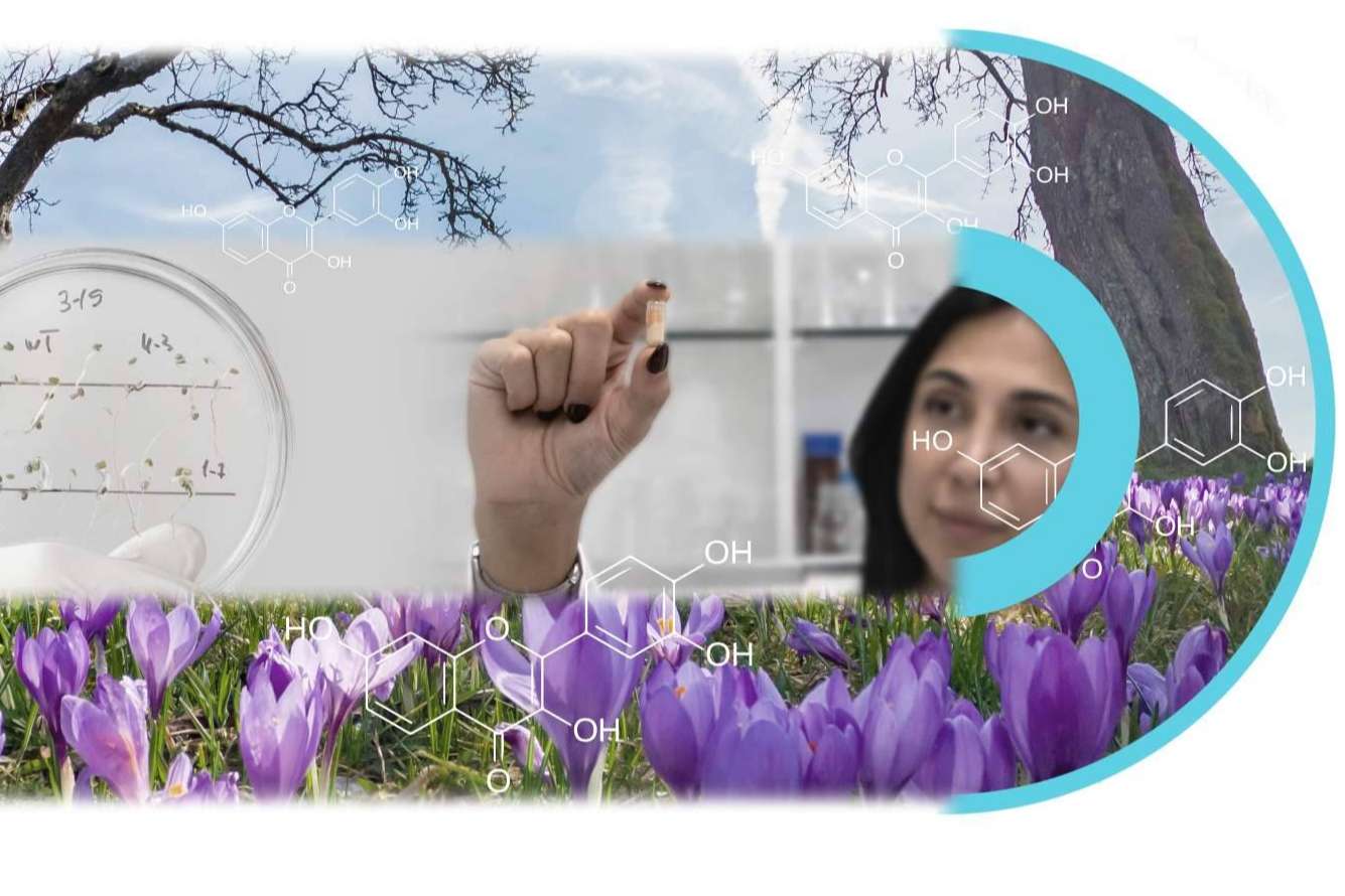 Aora Health transforma la industria nutracéutica con su innovadora ...