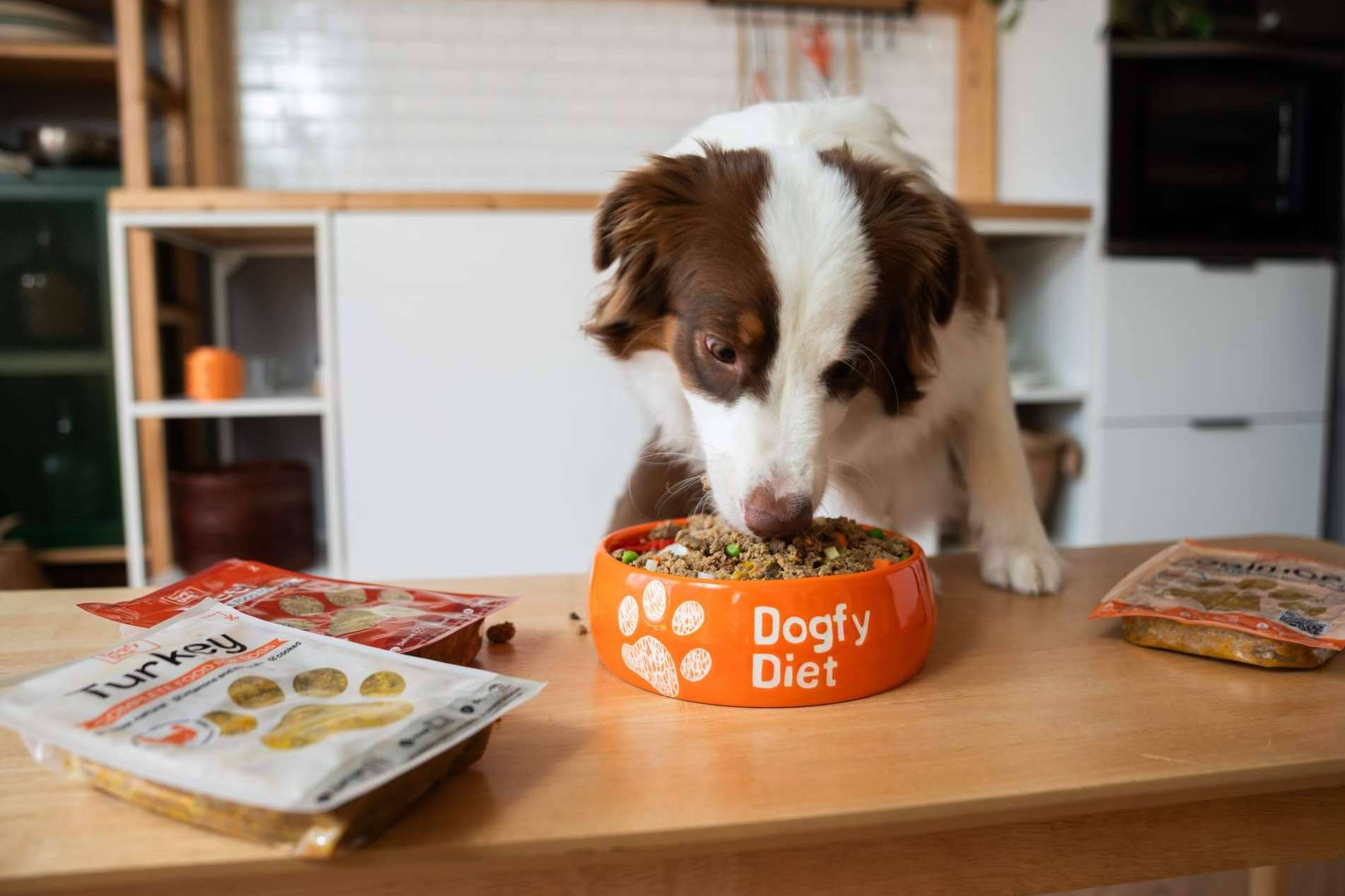 Dogfy Diet revoluciona la alimentación canina con comida natural a ...