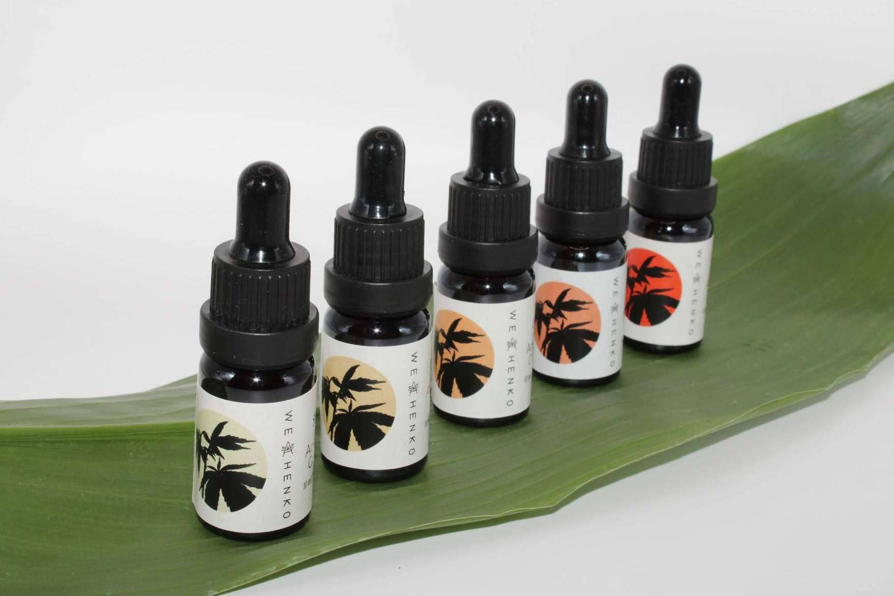 El catálogo más completo en flores pequeñas de CBD lo ofrece We Henko con soporte continuo al ...