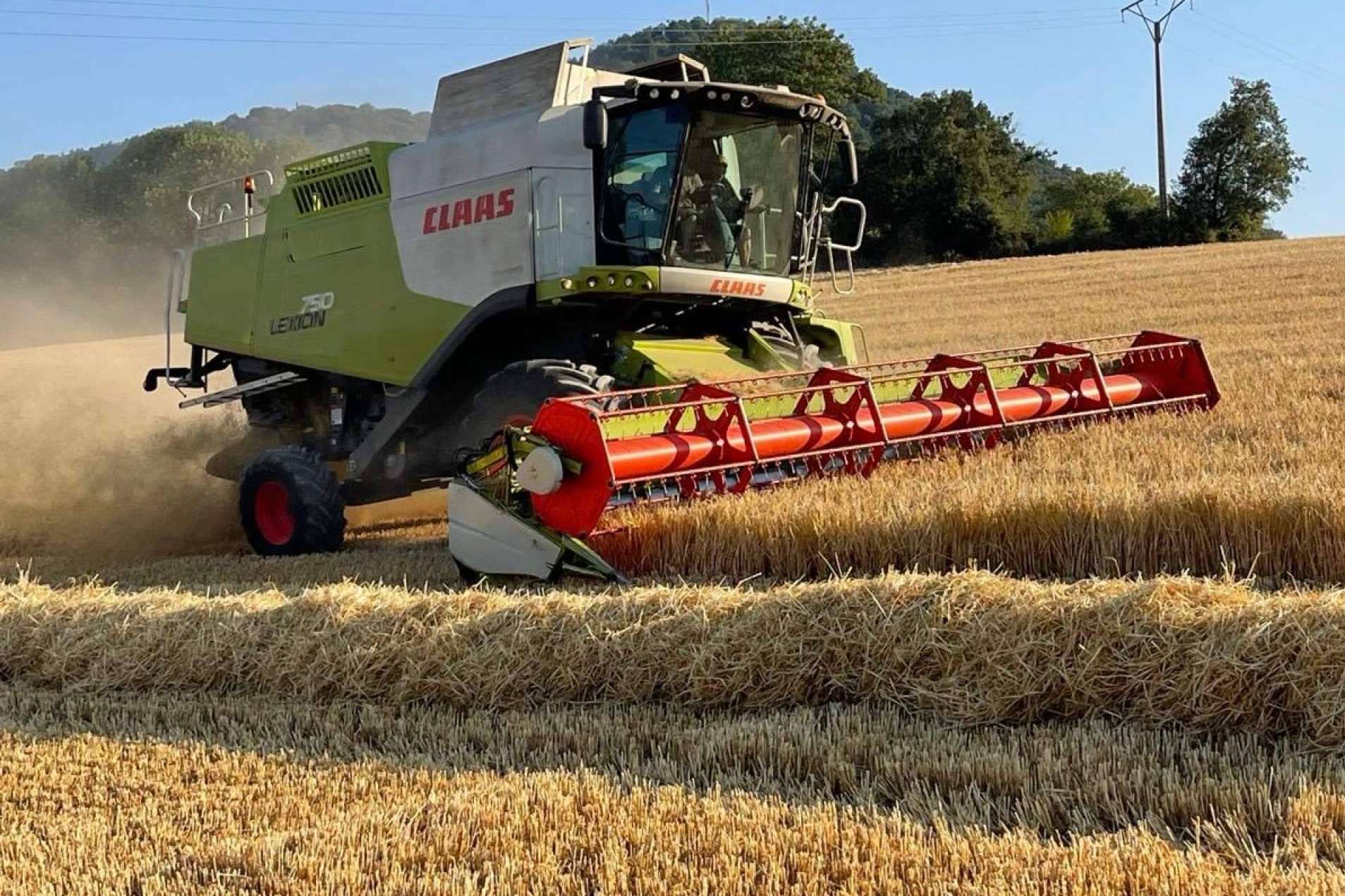 Arranca la cosecha de cebada alavesa 2025 - Santander 24H
